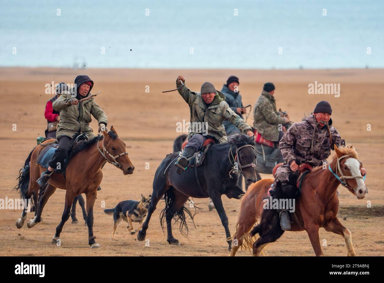Buzkashi (goat pulling) is the national sport of Afghanistan It is a ...