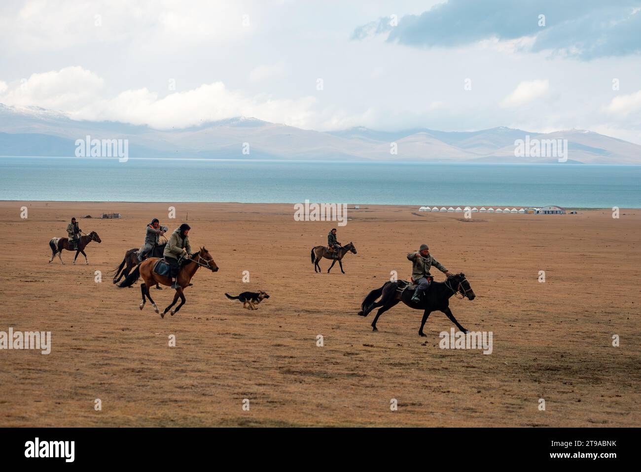 Buzkashi (goat pulling) is the national sport of Afghanistan It is a ...