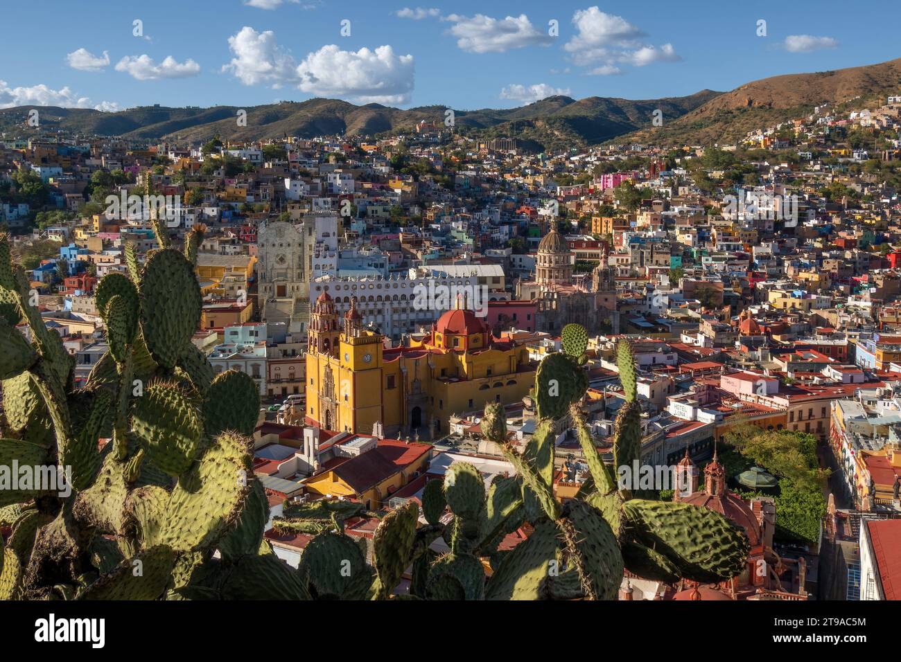 A vibrant city where urban design meets natural beauty. Explore its ...