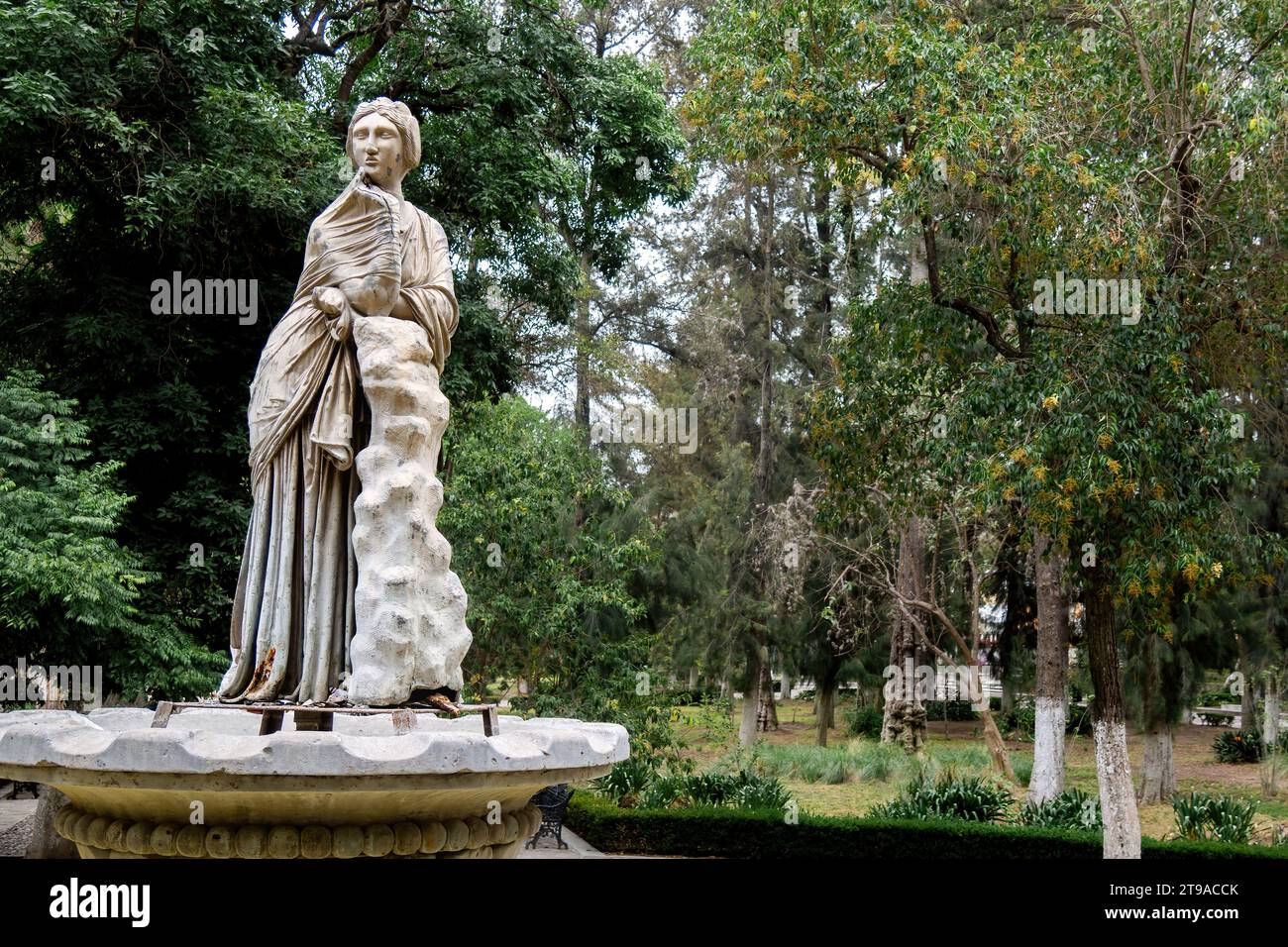 Explore a serene garden adorned with sculptures and lush plant life in ...