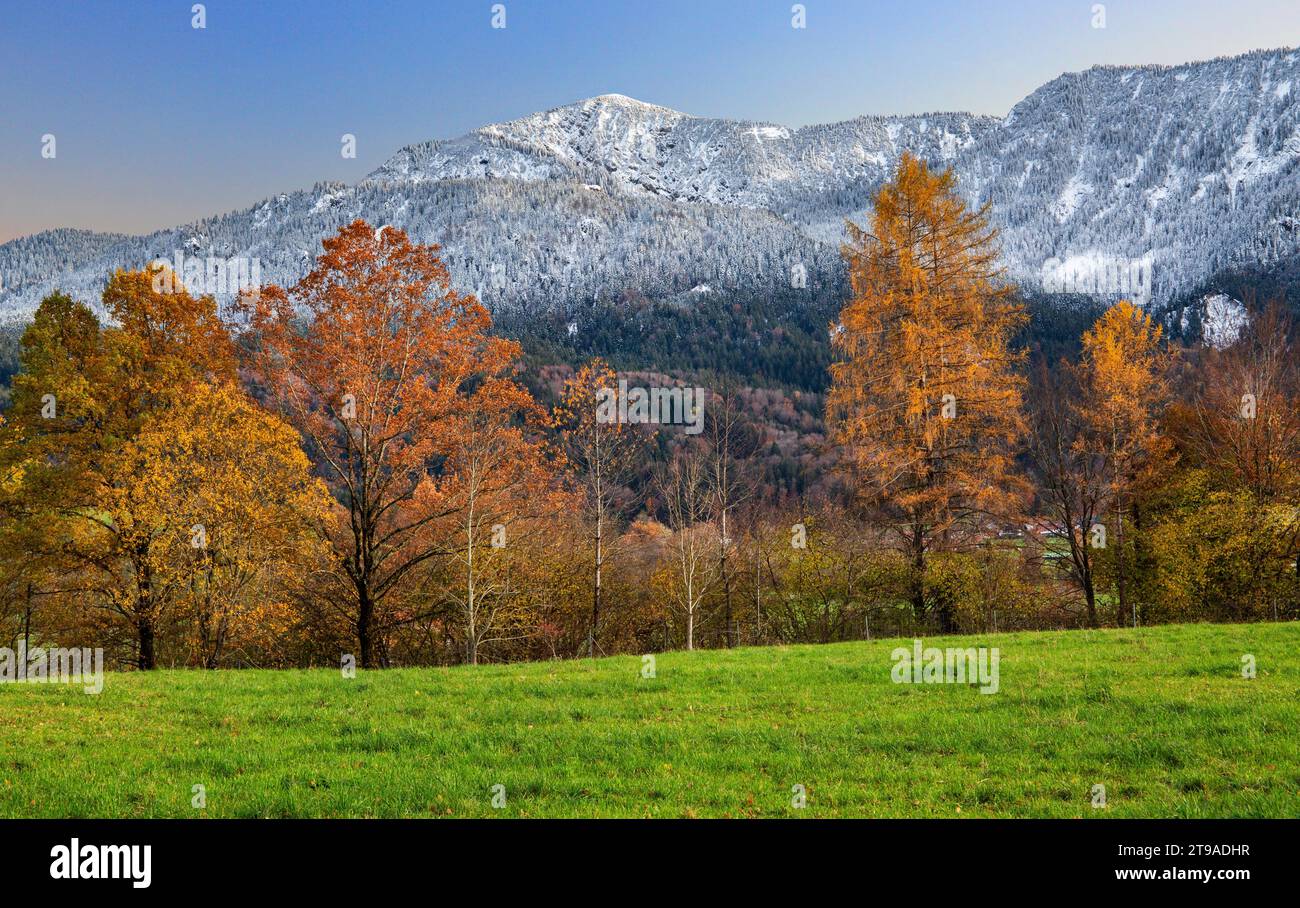 Autumn landscape near the hamlet of Weichs with Heimgarten 1791m ...