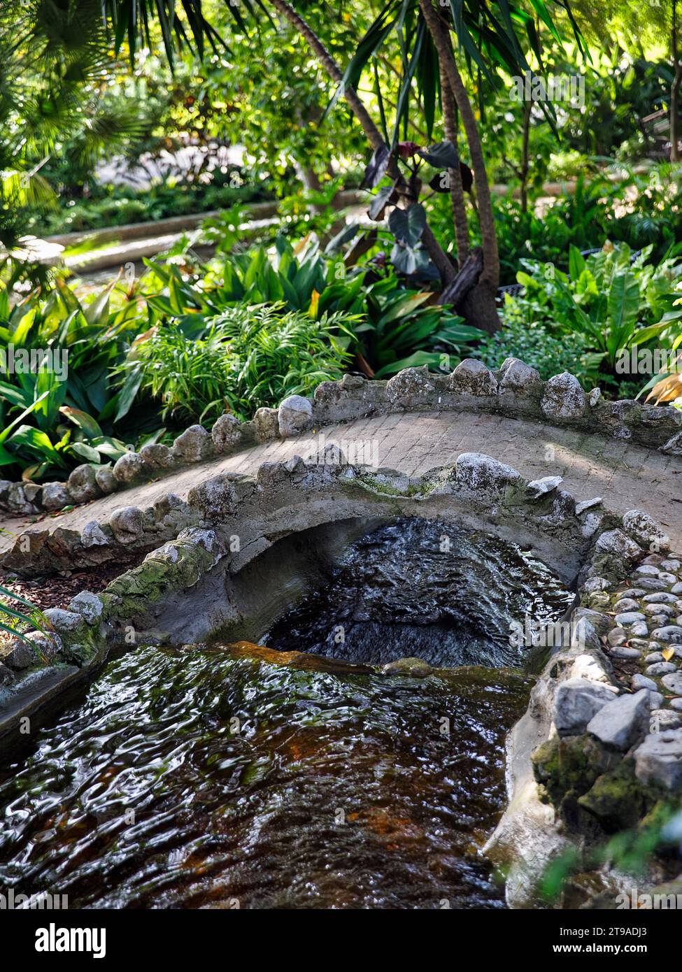 Stone bridge over stream, La Alameda Botanical Gardens, Upper Town ...