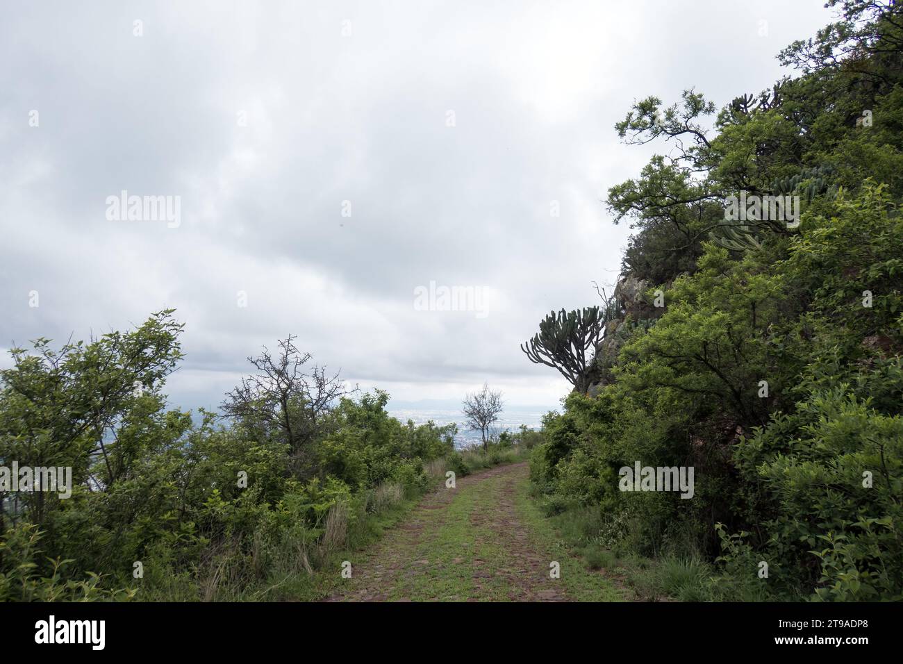 Embark on a journey through highlands, forests, and grasslands ...