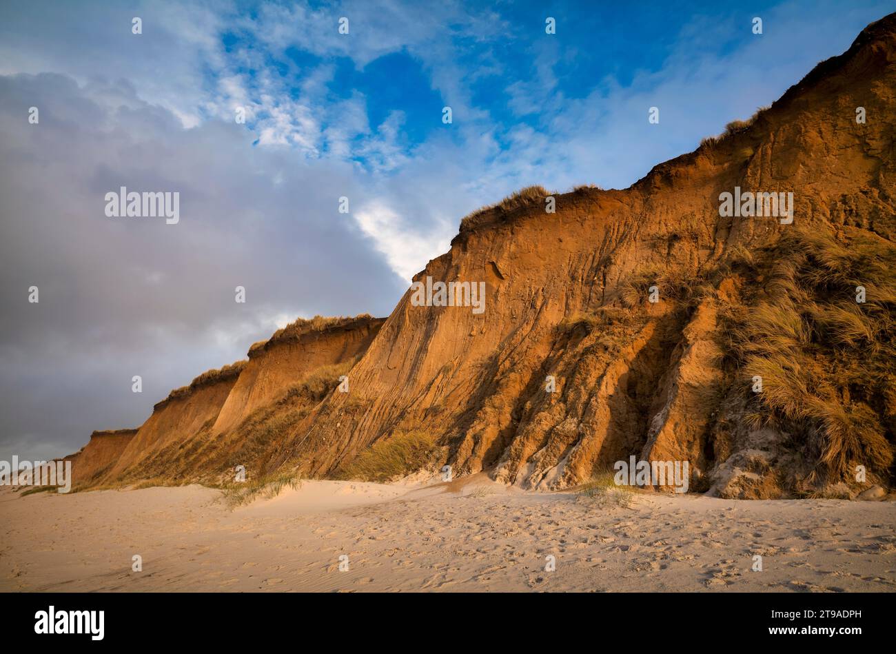 Red cliff, the red cliff, dune, steep coast between Wenningstedt and ...