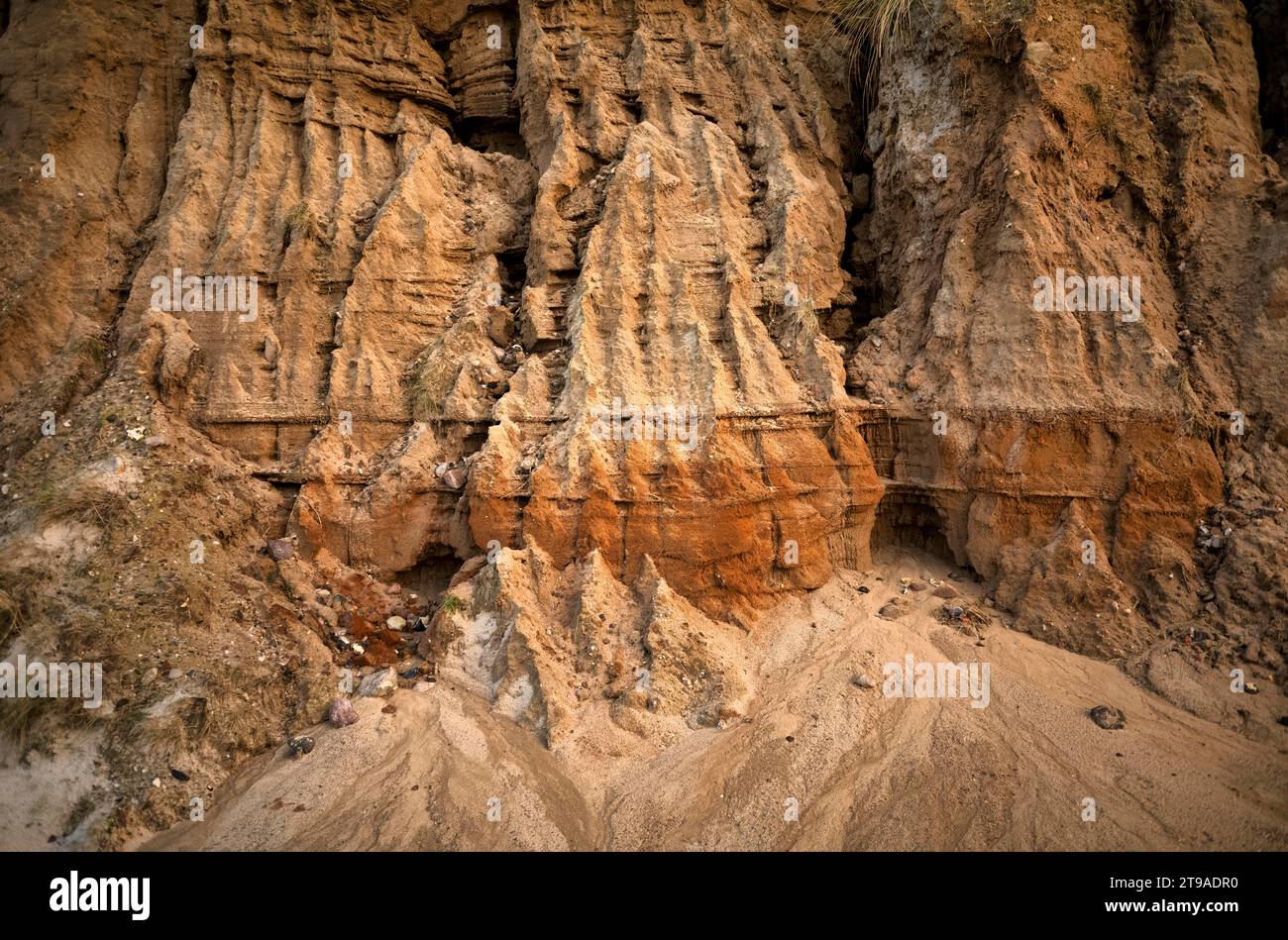Edge of cliff, red cliff, the red cliff, cliff between Wenningstedt and ...