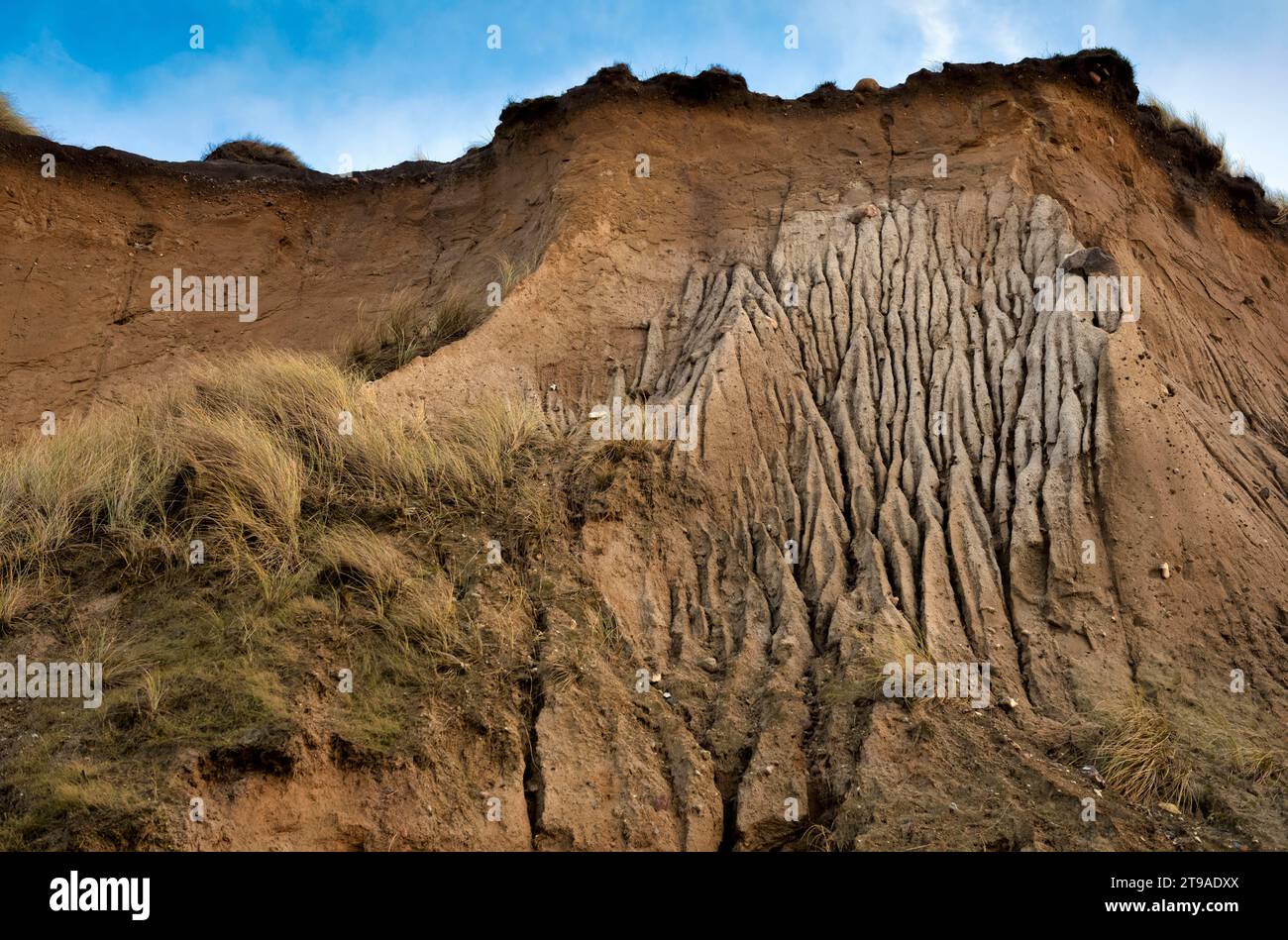 Edge of cliff, red cliff, the red cliff, cliff between Wenningstedt and ...
