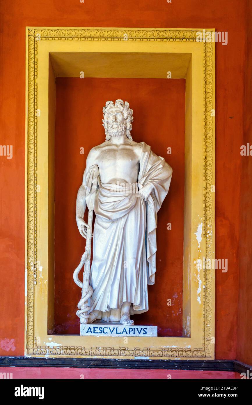 Statue of Asclepius (god of medicine) in the Leon Dufourny Gymnasium ...