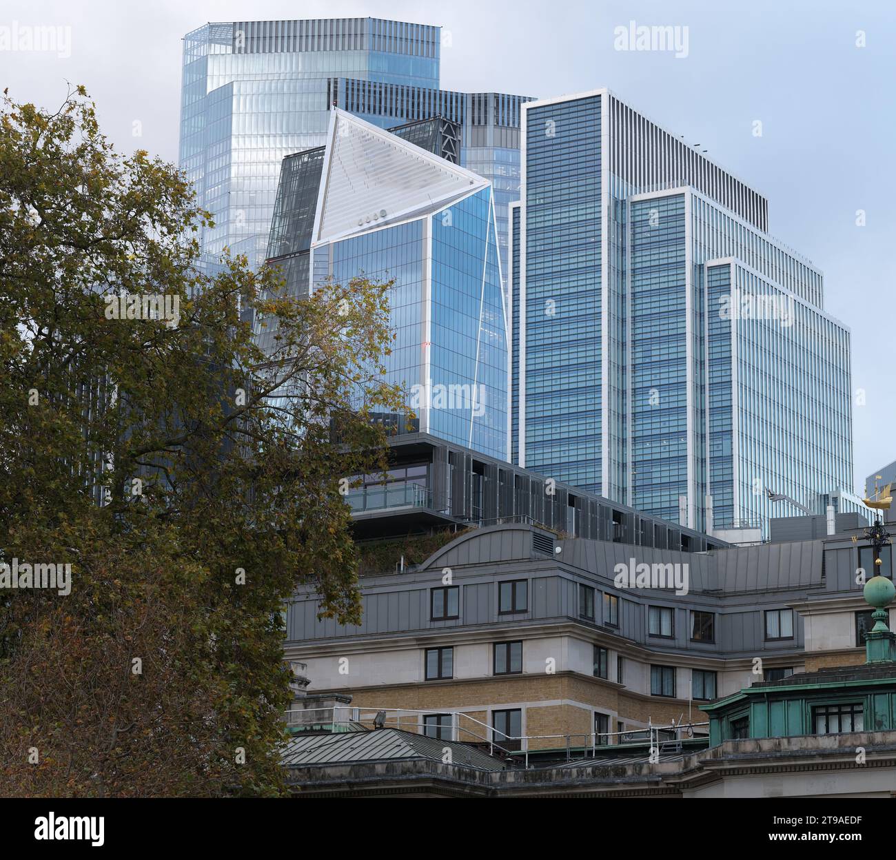 Commercial skyscraper office buildings in the financial district of the ...