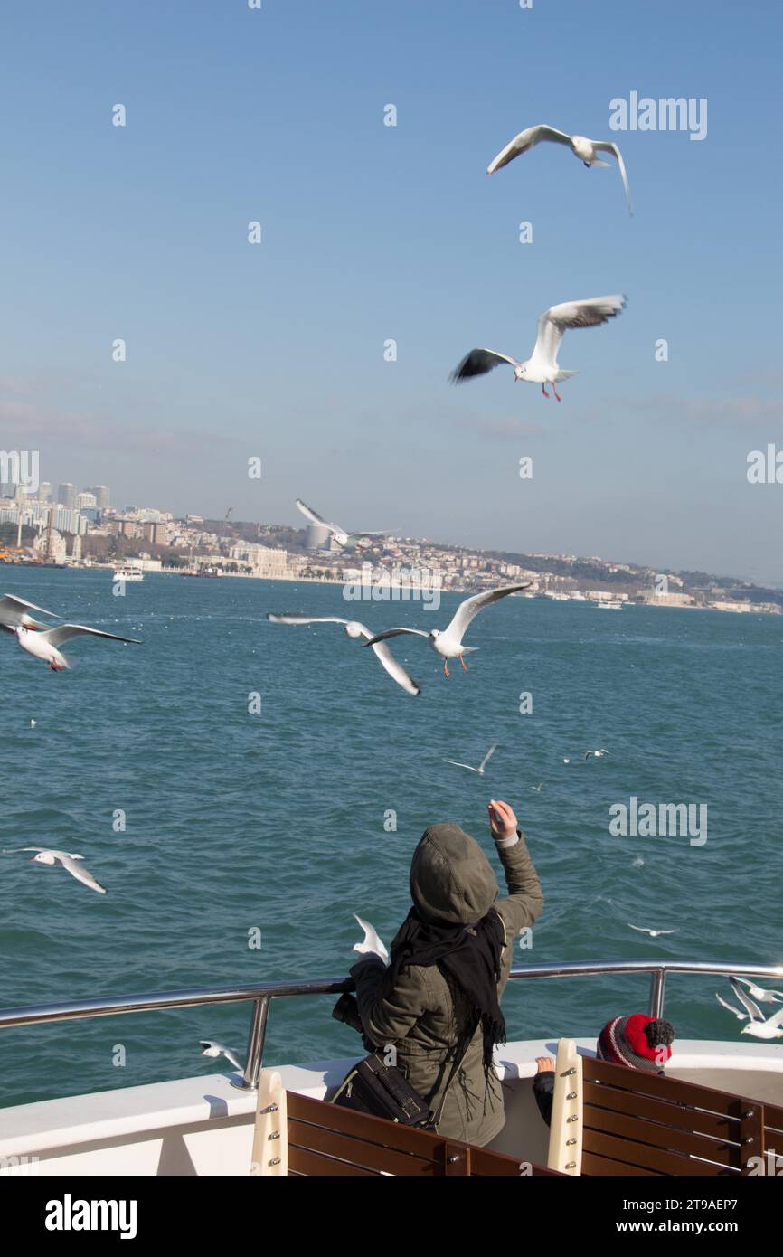 Seagulls are flying in sky over the sea waters Stock Photo - Alamy