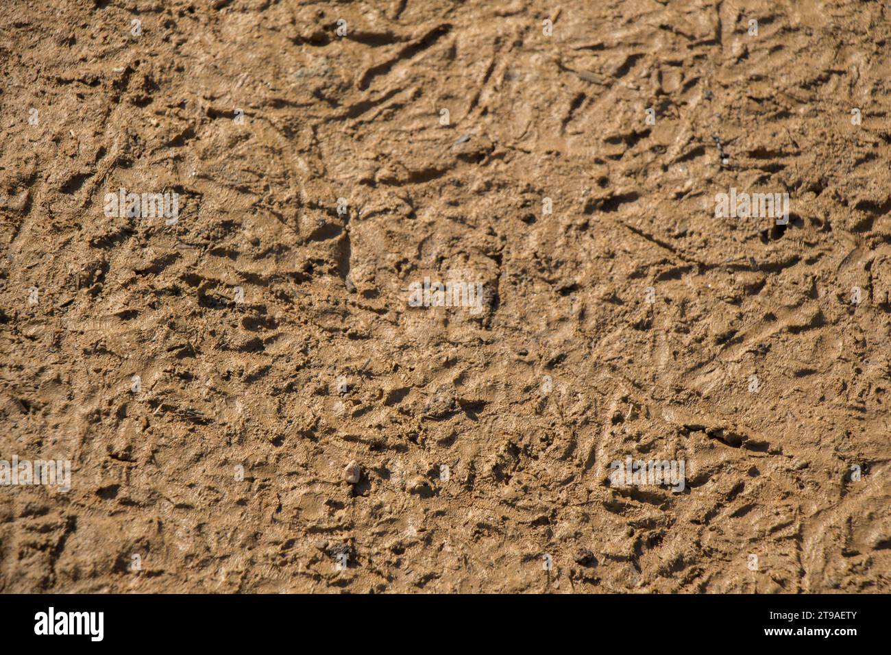 Soil surface as a background texture Stock Photo - Alamy