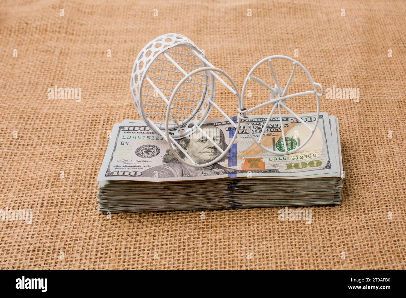 Birds cage placed on bundle of US dollar banknote Stock Photo - Alamy