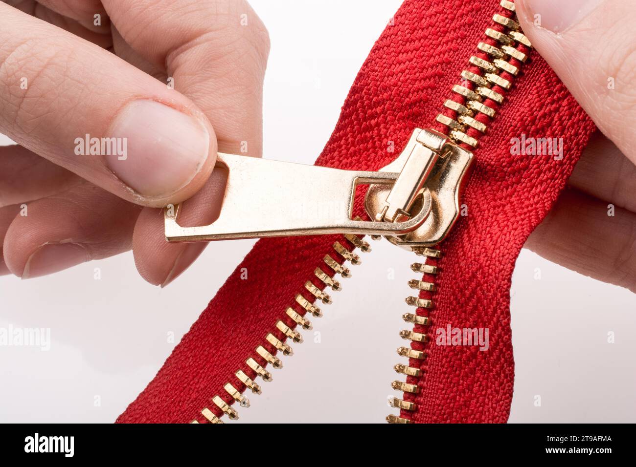 Hand holding color zipper on a white background Stock Photo - Alamy