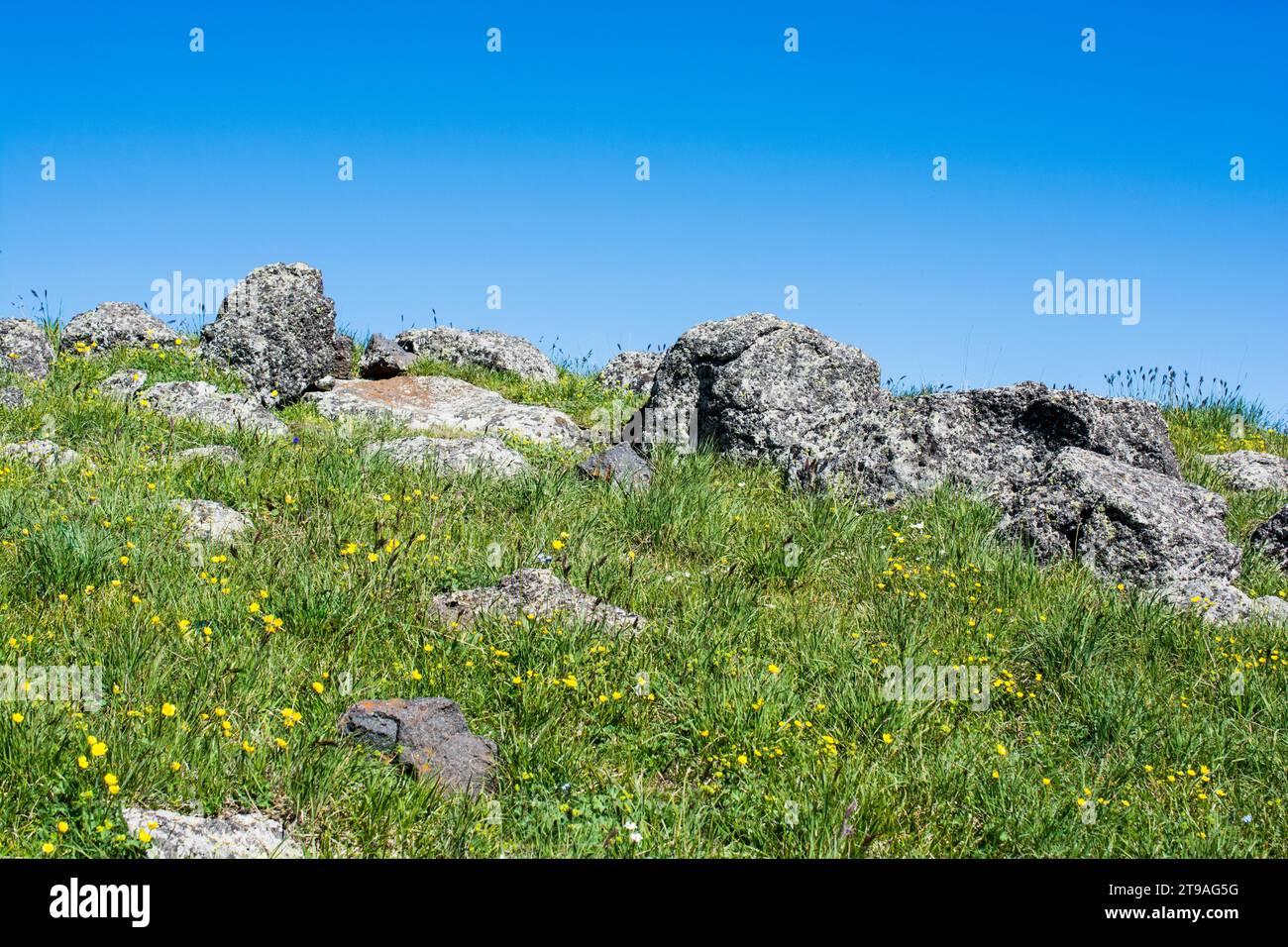 Wilderness landscape hi-res stock photography and images - Alamy