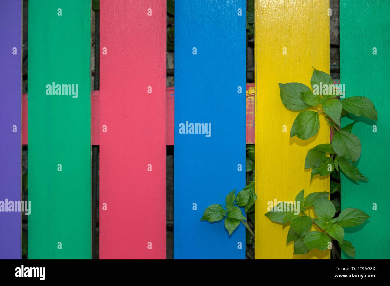 Texture details of an old wooden plunks as background Stock Photo - Alamy