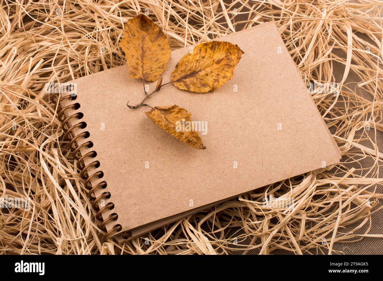 Open blank notebook with fallen autumn leaves as a background Stock ...