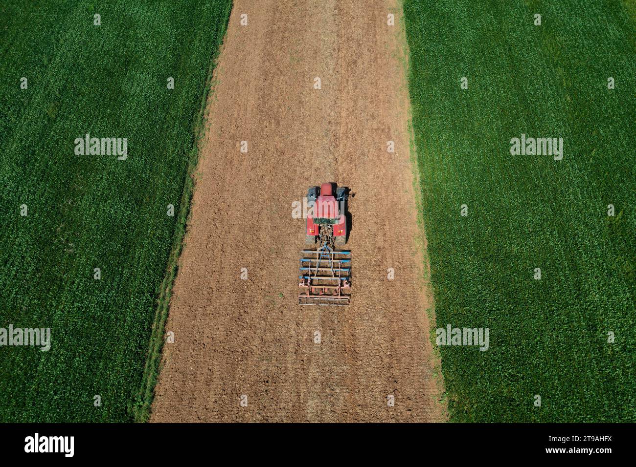 Drone view, tractor at work between green fields, agricultural ...