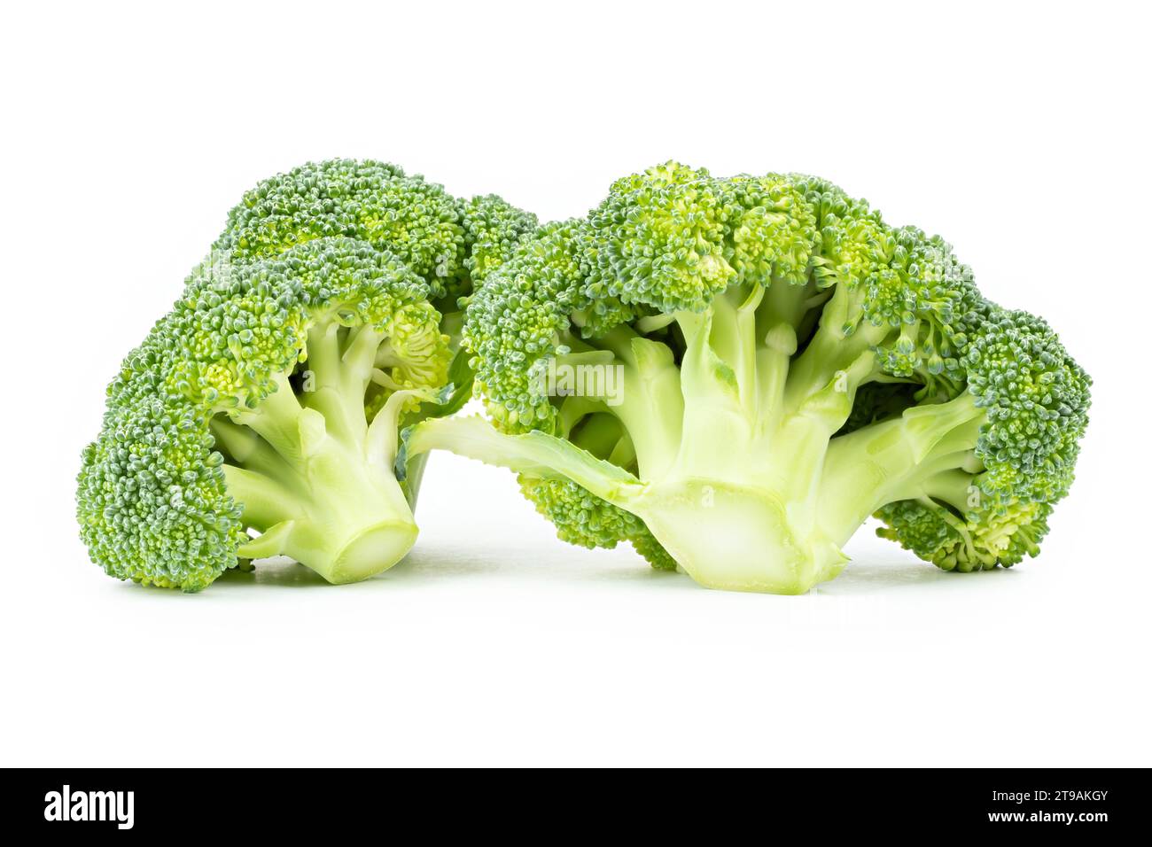 Fresh broccoli on white background. Full depth of field Stock Photo - Alamy