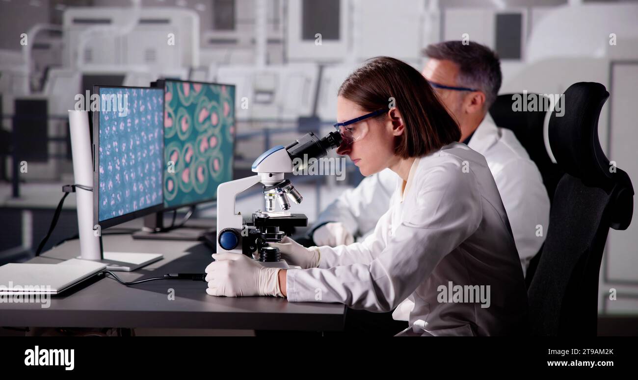 Innovation in Hospital Care: Doctor Researching Chemistry Lab Stock ...