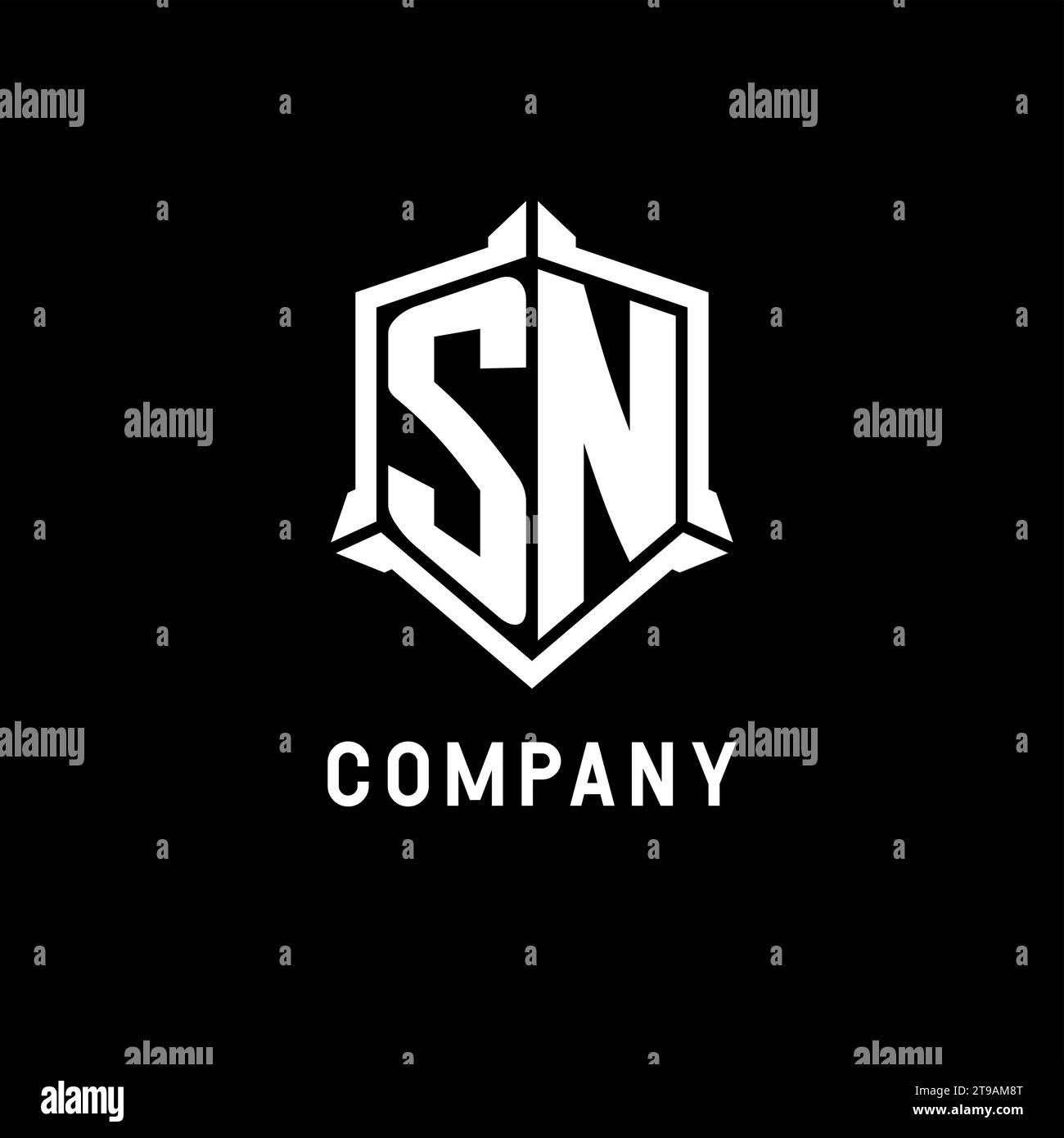 SN logo initial with shield shape design style vector graphic Stock ...