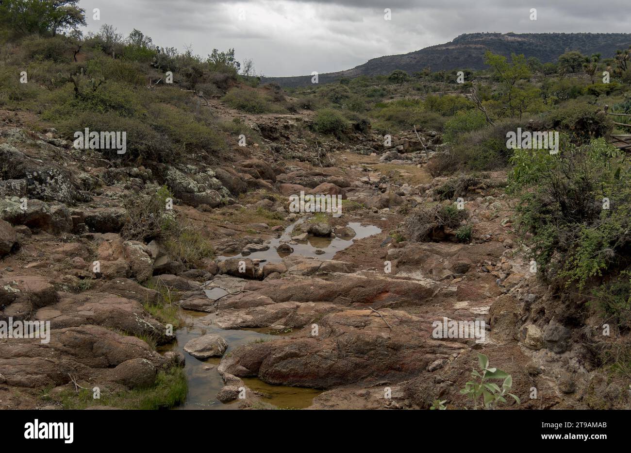 A Mexican landscape of rocky stream flowing in Sierra Gorda mountains ...