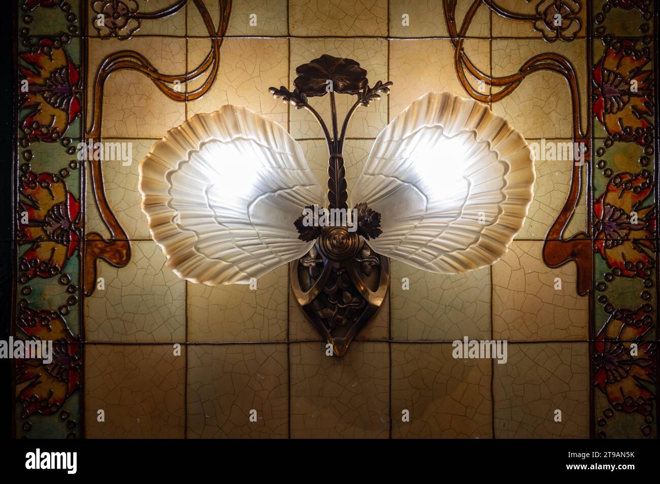 Art-deco colorful floral styled decoration on walls, cellar and lights ...