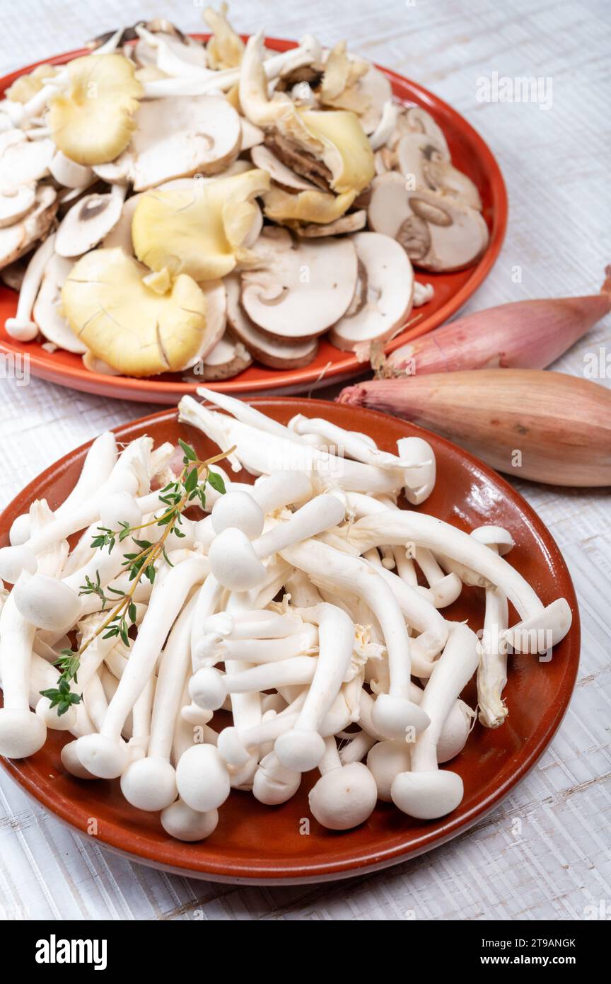 White shimeji edible mushrooms native to East Asia, buna-shimeji is ...