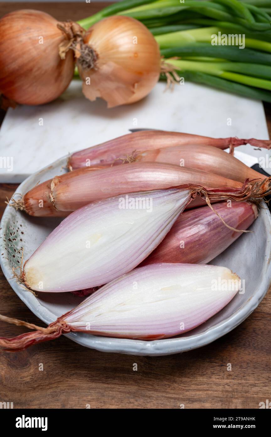 French long pink shallots grappe onion from Brittany, France close up ...