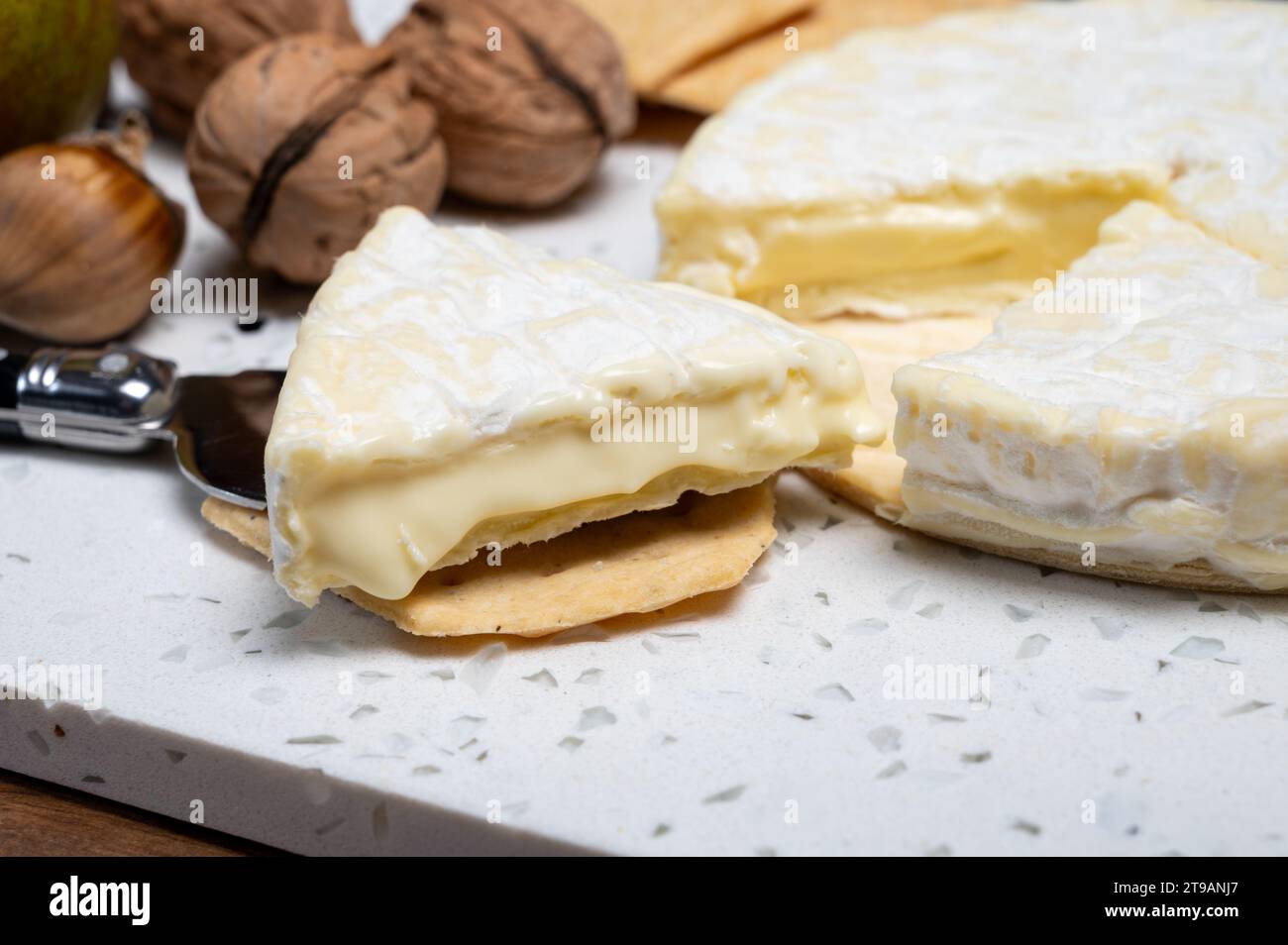 French soft Cremeux de Normandie cheese, soft creamy cheese with white ...