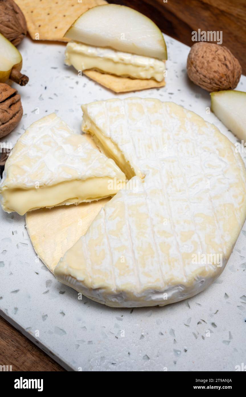 French soft Cremeux de Normandie cheese, soft creamy cheese with white ...