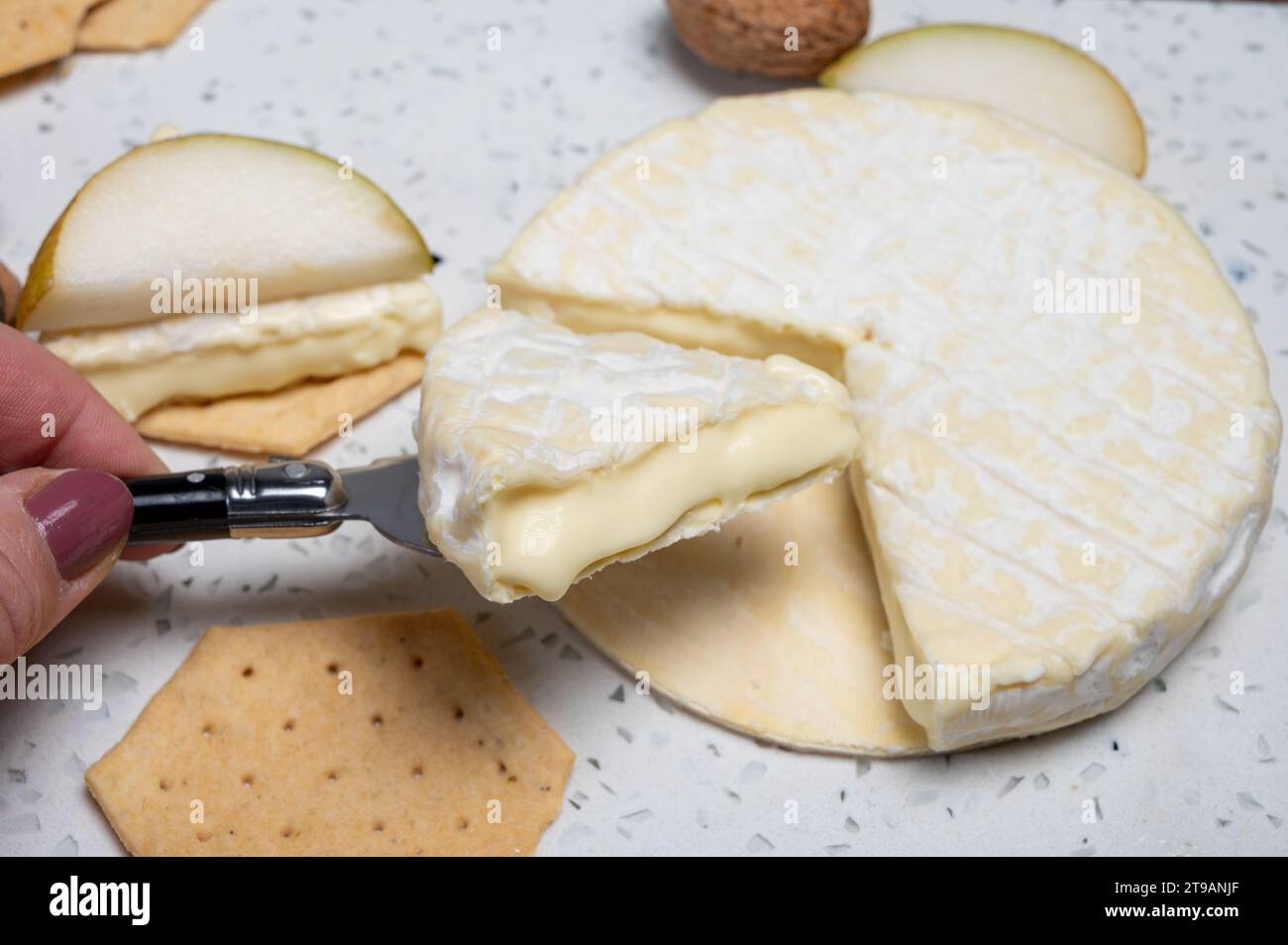 French soft Cremeux de Normandie cheese, soft creamy cheese with white ...