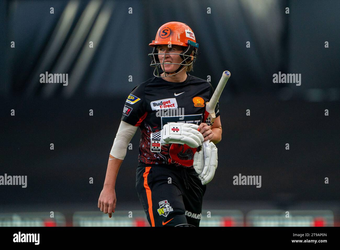 Adelaide, Australia. 24th Nov, 2023. Adelaide, Australia, November 24th ...