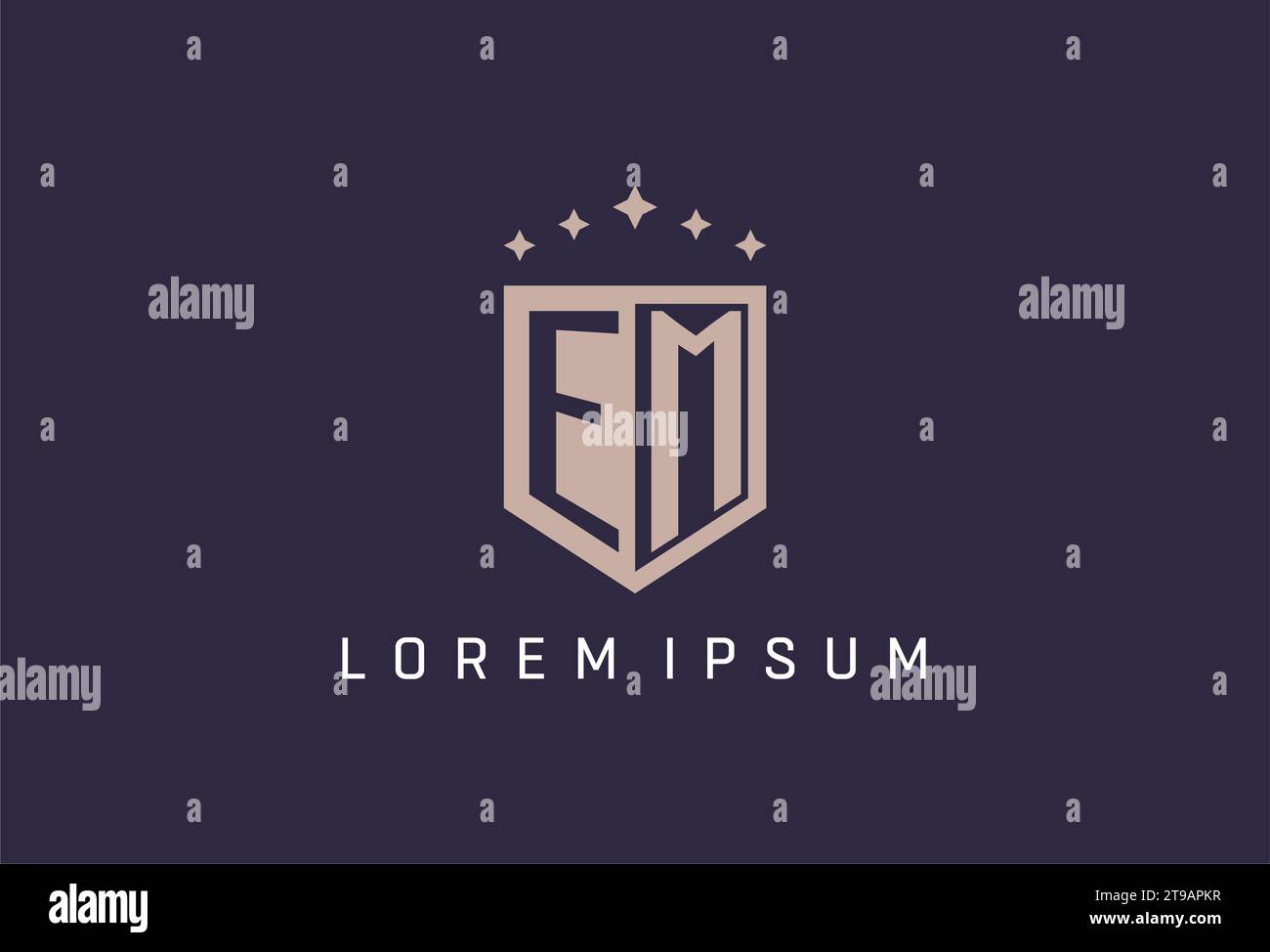 EM initial shield logo icon geometric style design inspiration Stock ...