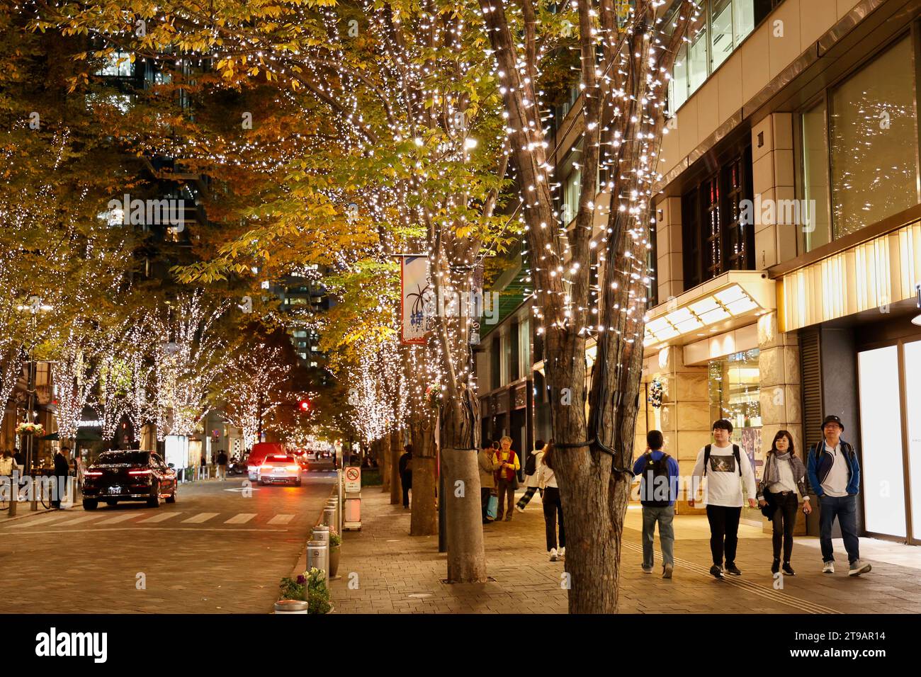 Tokyo, Japan. 24th Nov, 2023. LED lights illuminate the Marunouchi ...