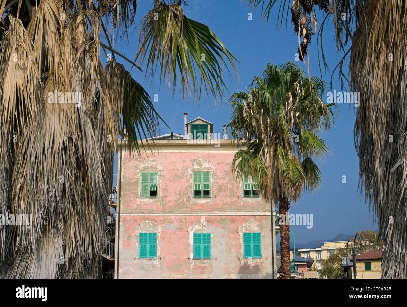 Old palace palm trees hi-res stock photography and images - Alamy