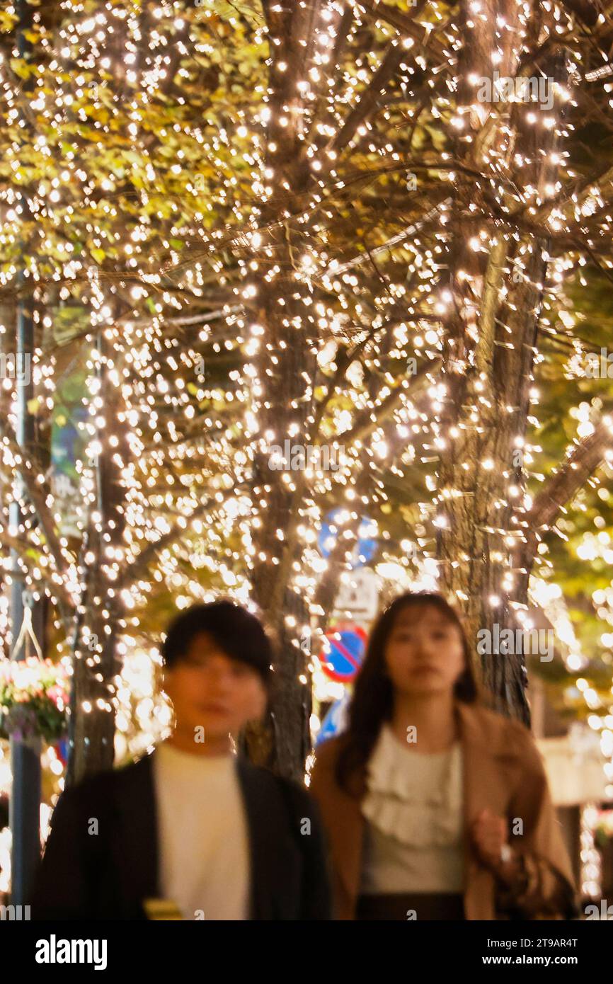 Tokyo, Japan. 24th Nov, 2023. LED lights illuminate the Marunouchi ...
