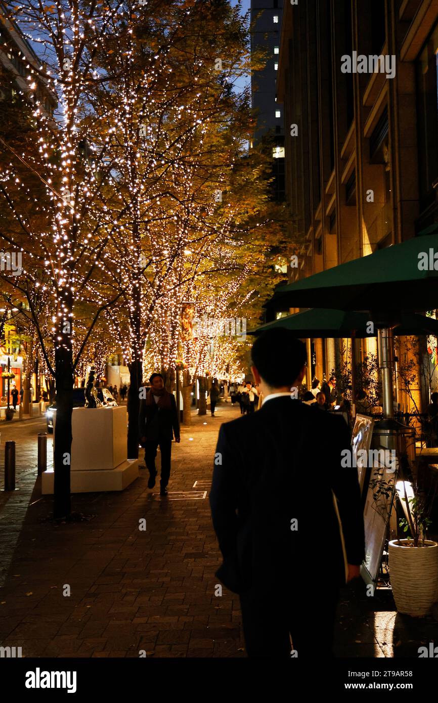 Tokyo, Japan. 24th Nov, 2023. LED lights illuminate the Marunouchi ...