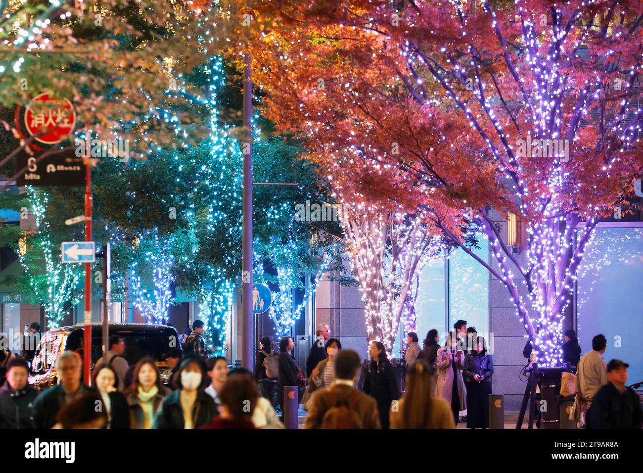 Tokyo, Japan. 24th Nov, 2023. People enjoy the Christmas decorations on ...