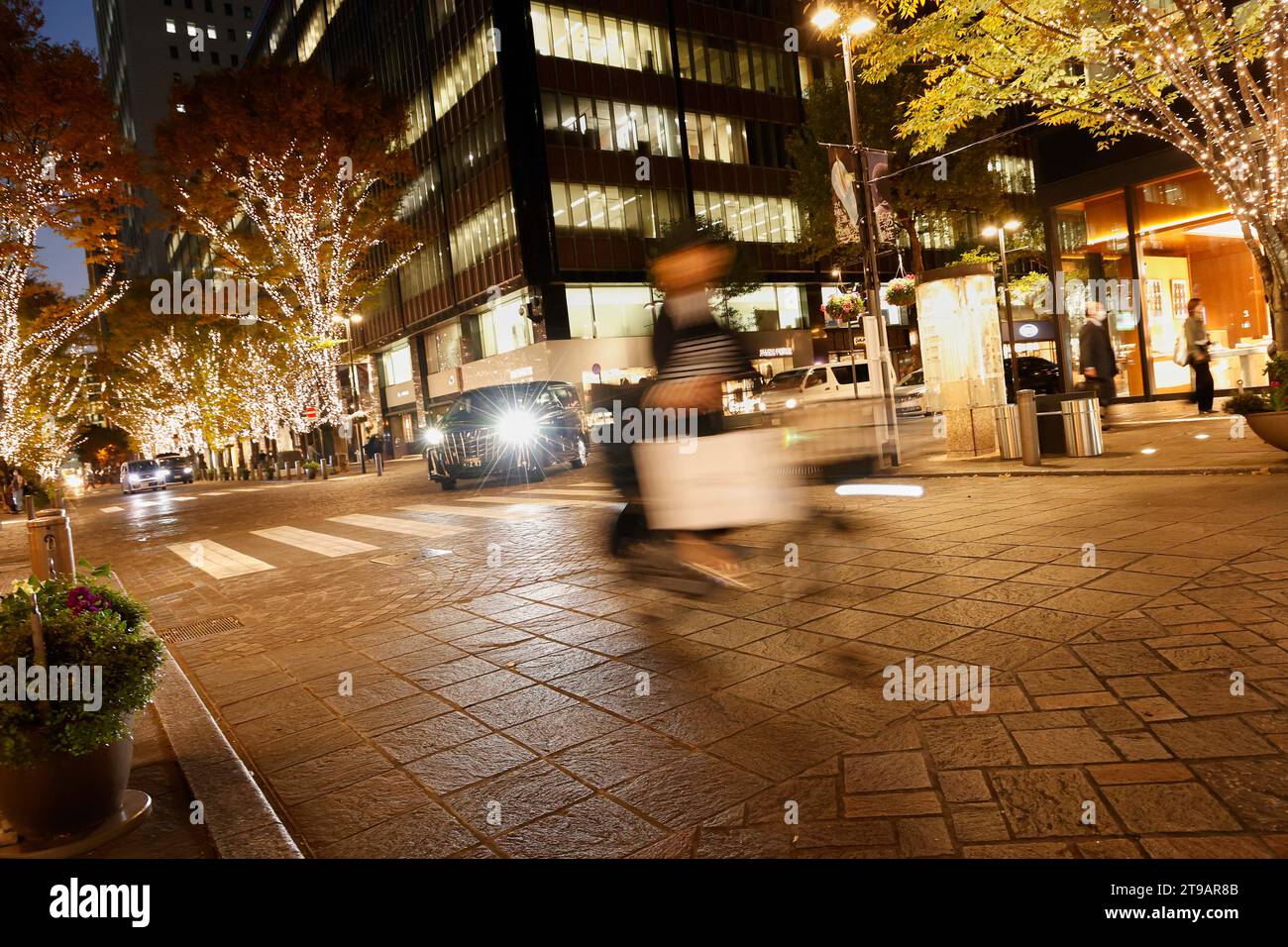 Tokyo, Japan. 24th Nov, 2023. LED lights illuminate the Marunouchi ...