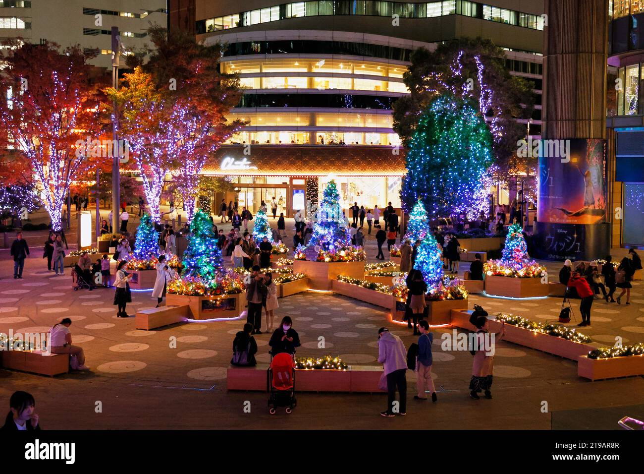 Tokyo, Japan. 24th Nov, 2023. People enjoy the Christmas decorations on ...