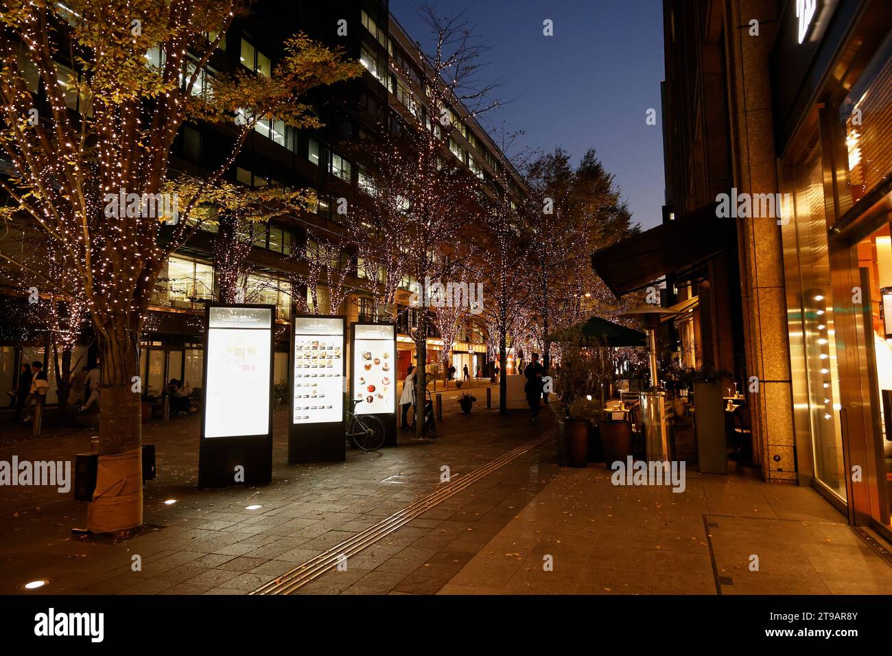 Tokyo, Japan. 24th Nov, 2023. LED lights illuminate the Marunouchi ...