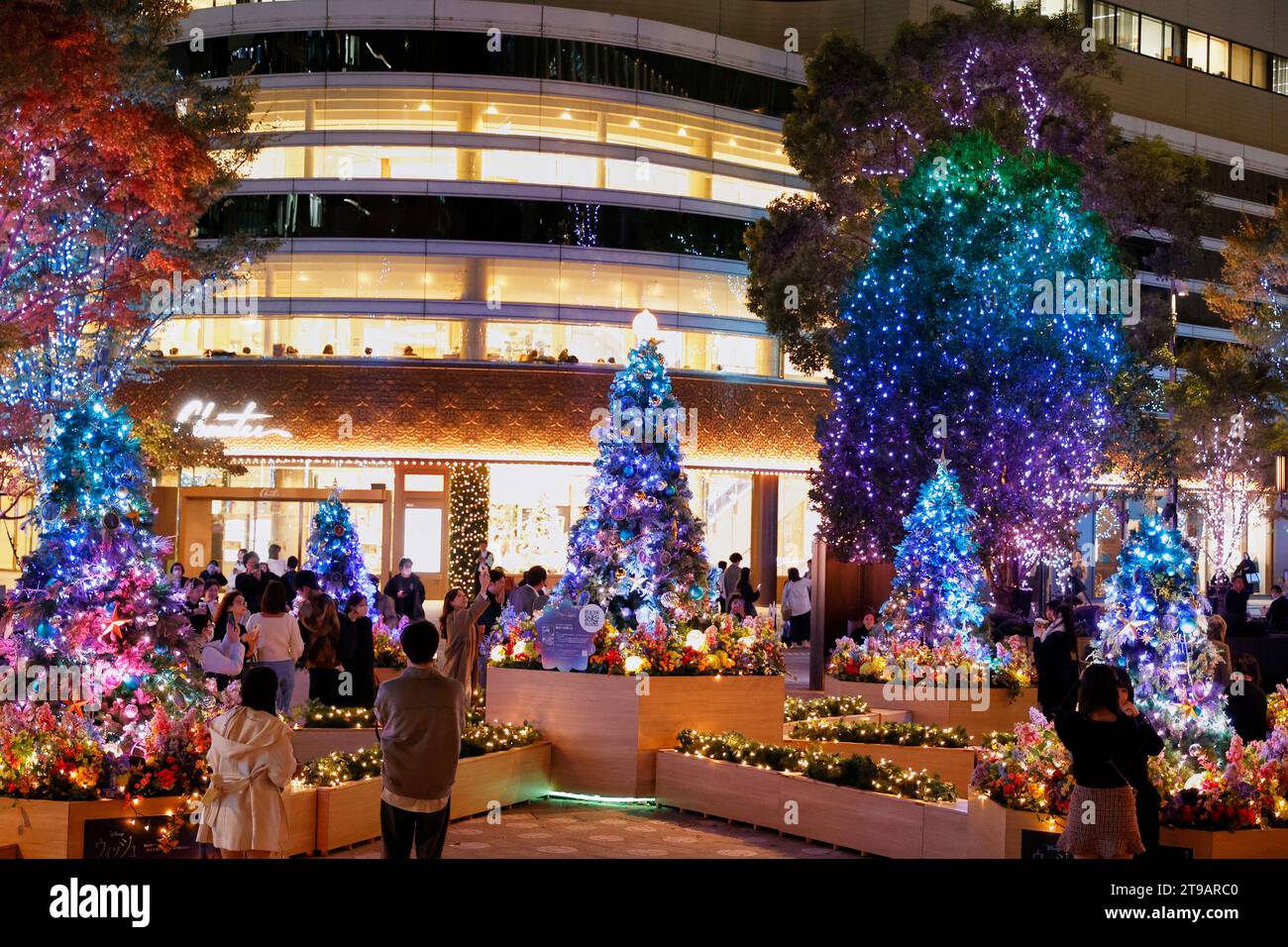 Tokyo, Japan. 24th Nov, 2023. People enjoy the Christmas decorations on ...