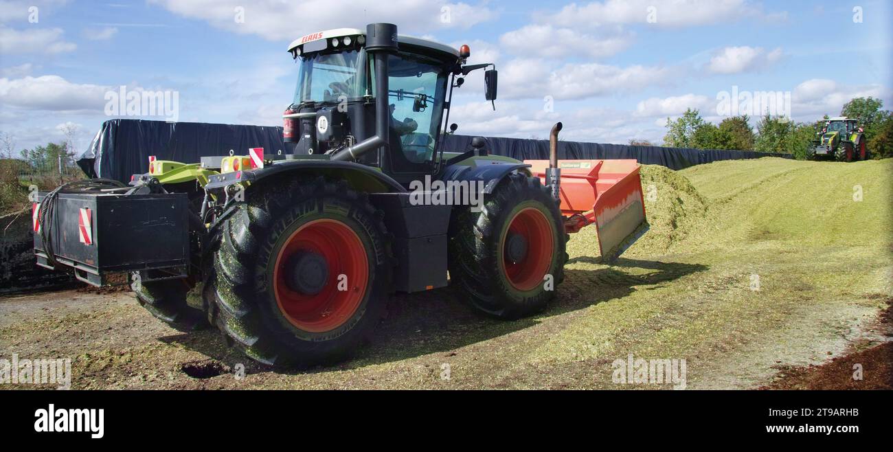 Maismiete hi-res stock photography and images - Alamy