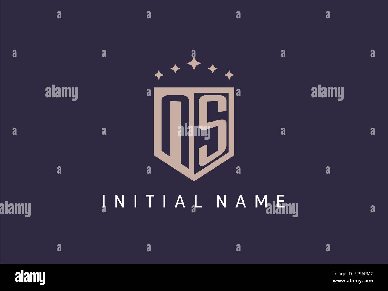 NS initial shield logo icon geometric style design inspiration Stock ...