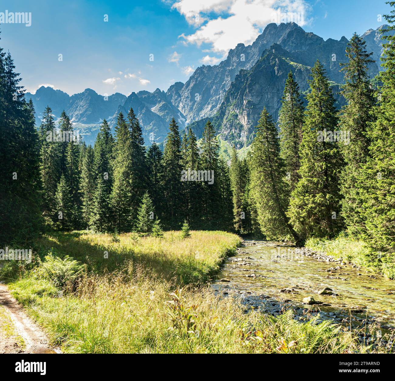Bielovodska dolina valley with river, forest and peaks above in High ...