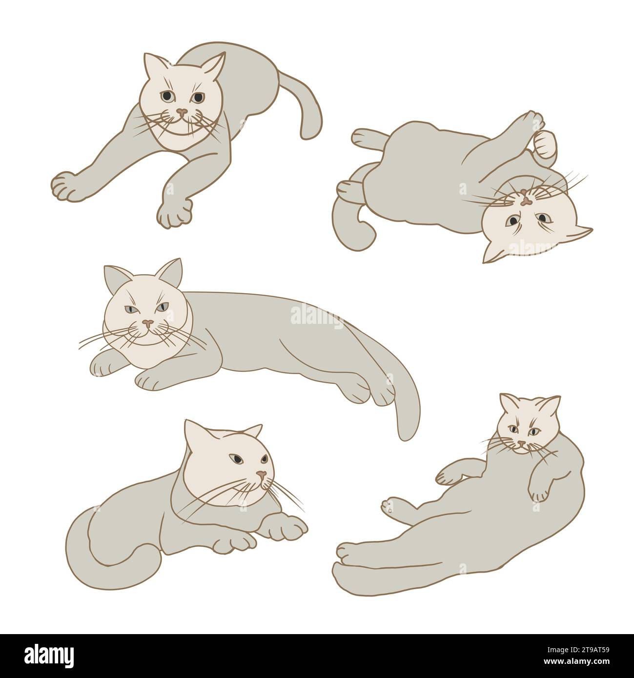 The cat's body language. Feline behavior and feelings. Isolated Graphic ...