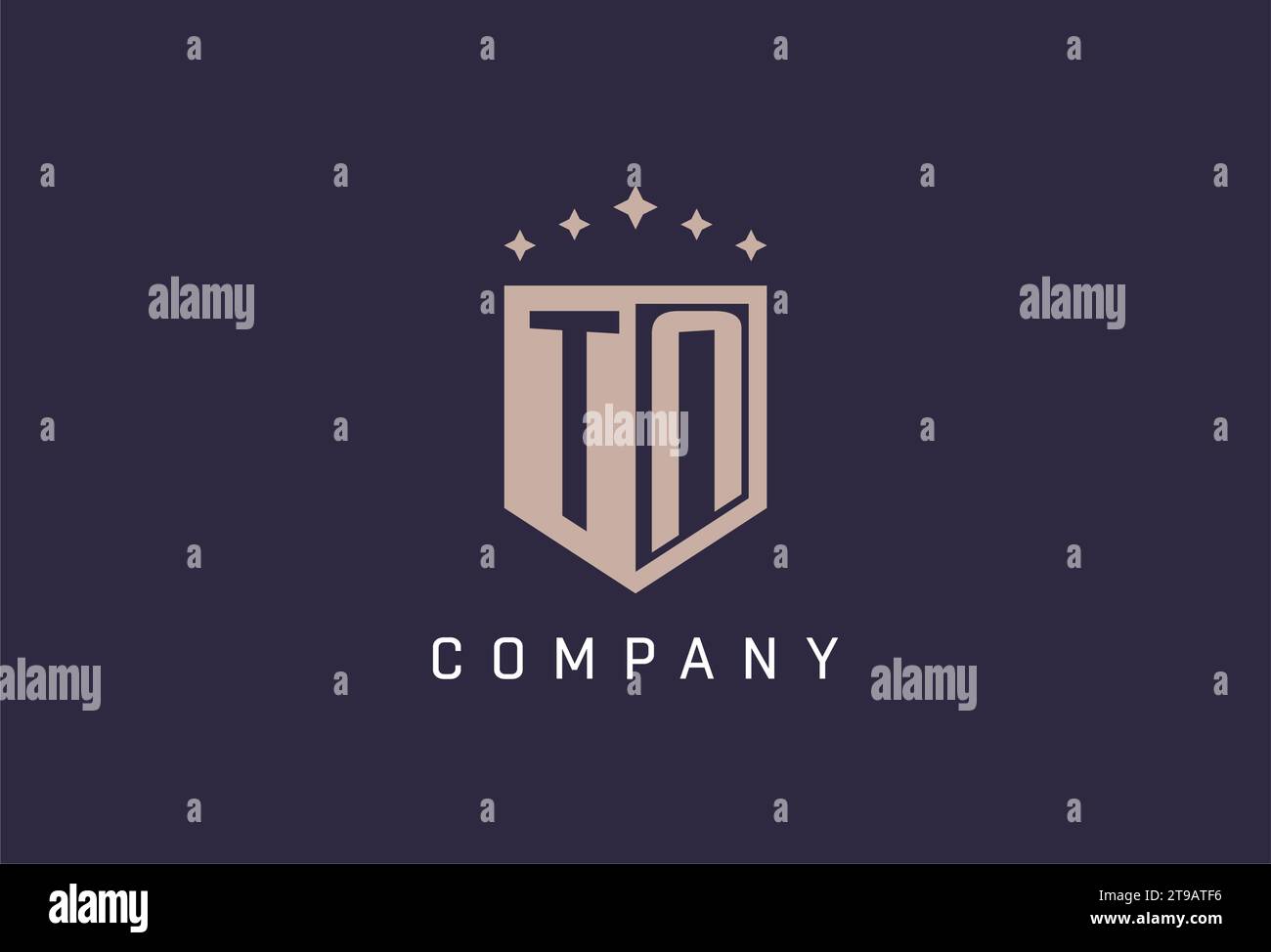 TN initial shield logo icon geometric style design inspiration Stock ...
