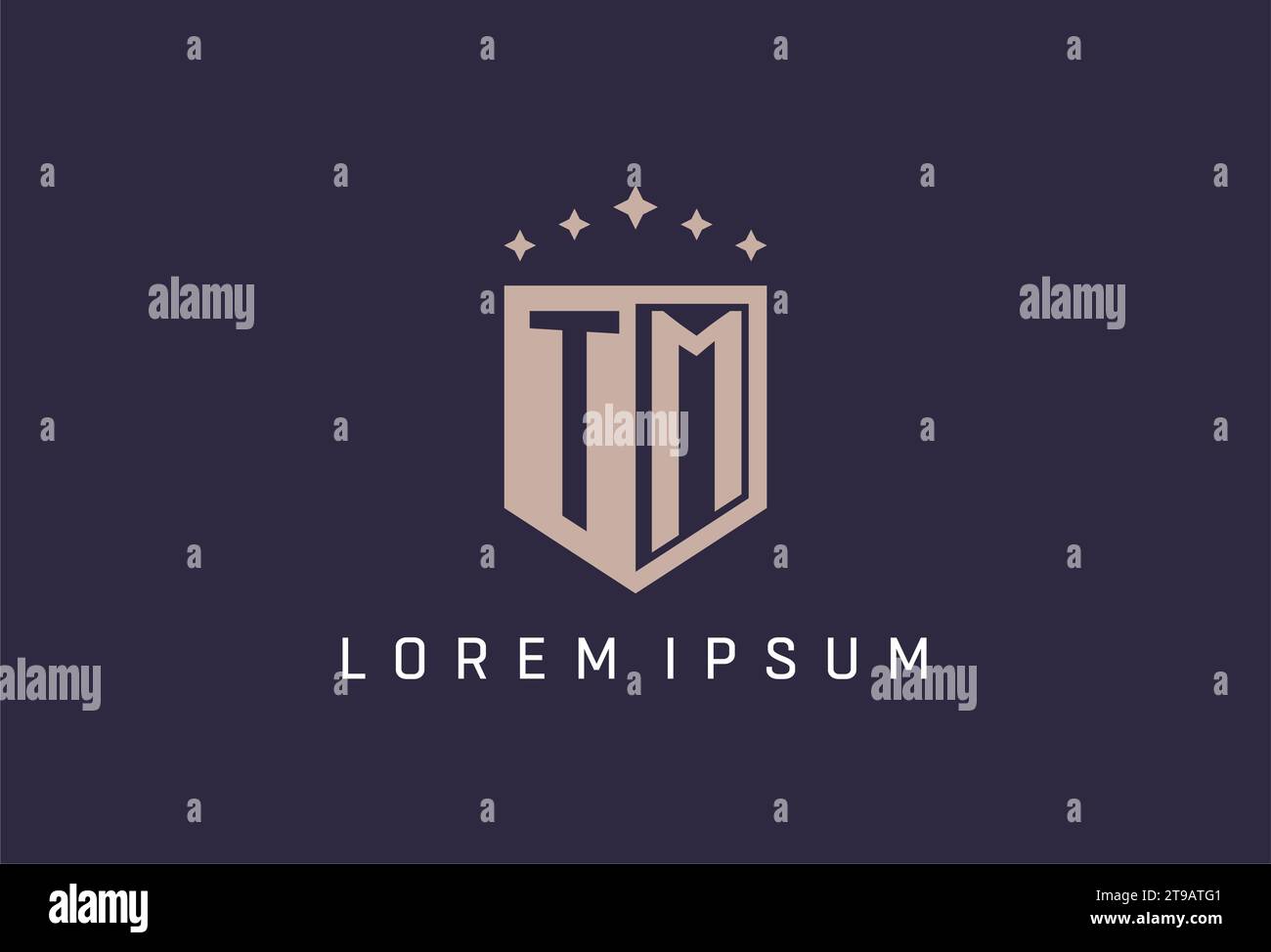 TM initial shield logo icon geometric style design inspiration Stock ...