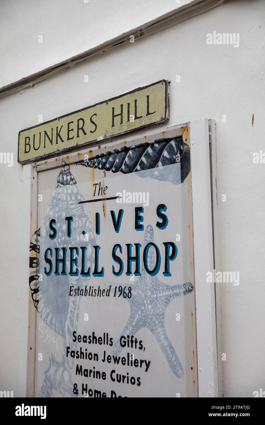 Sea shells cornwall hi-res stock photography and images - Alamy