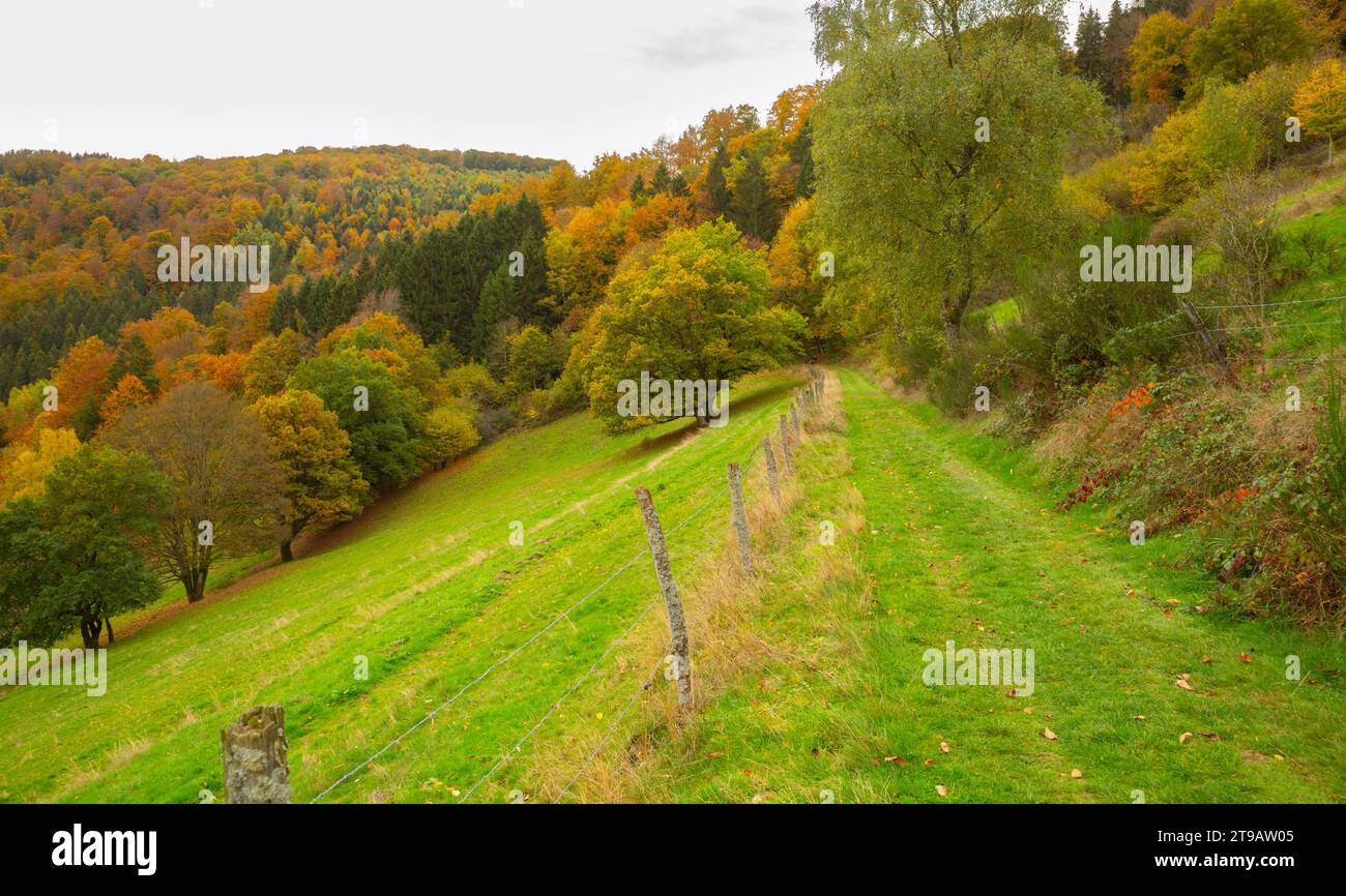 German countryside hi-res stock photography and images - Alamy