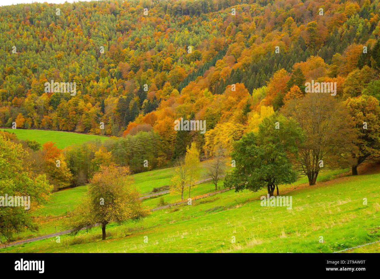 German villages hi-res stock photography and images - Alamy